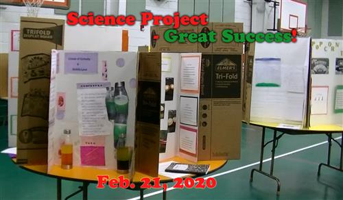 Photo Album / 2020 February